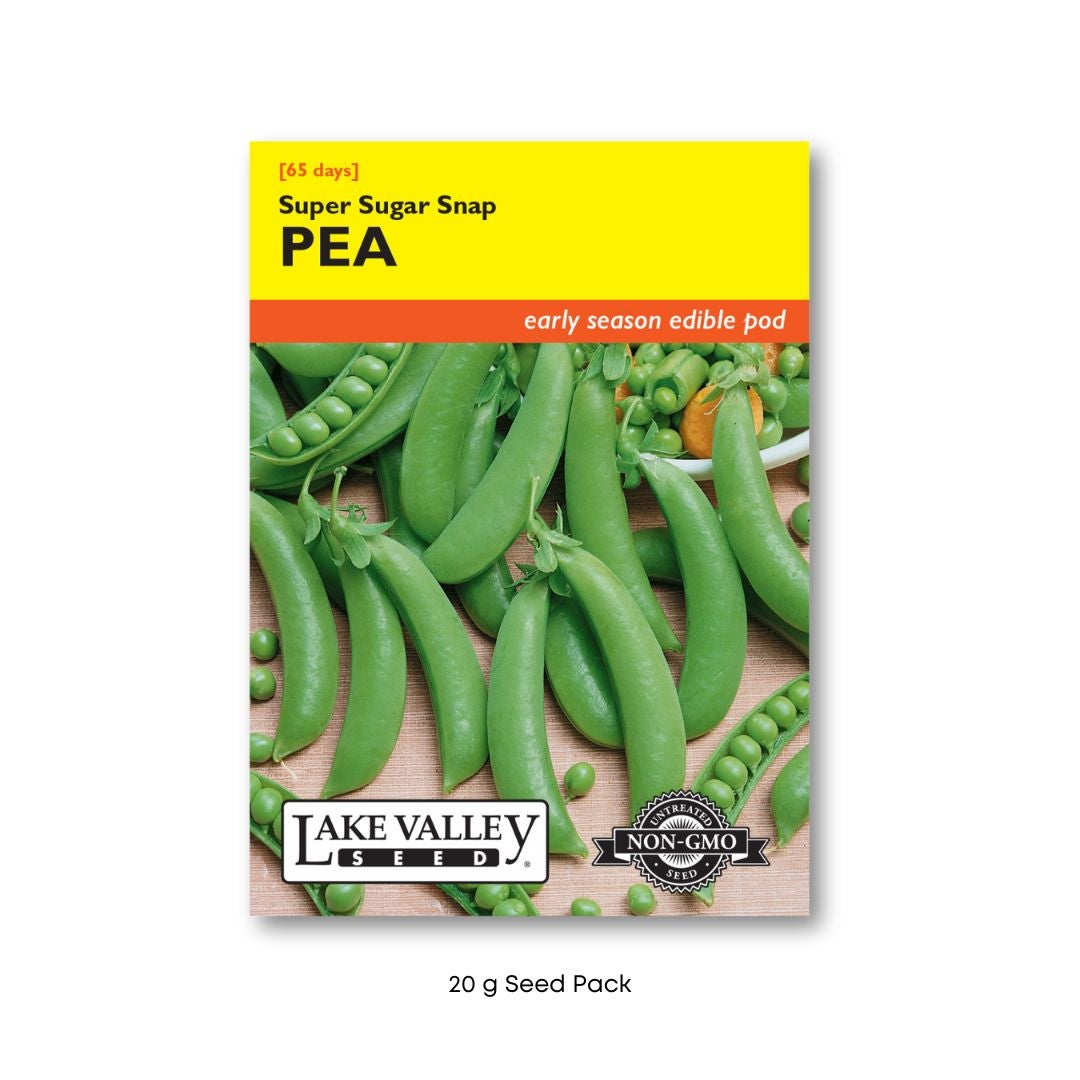 Peas 'Super Sugar Snap' Seeds | Willard Bay Gardens