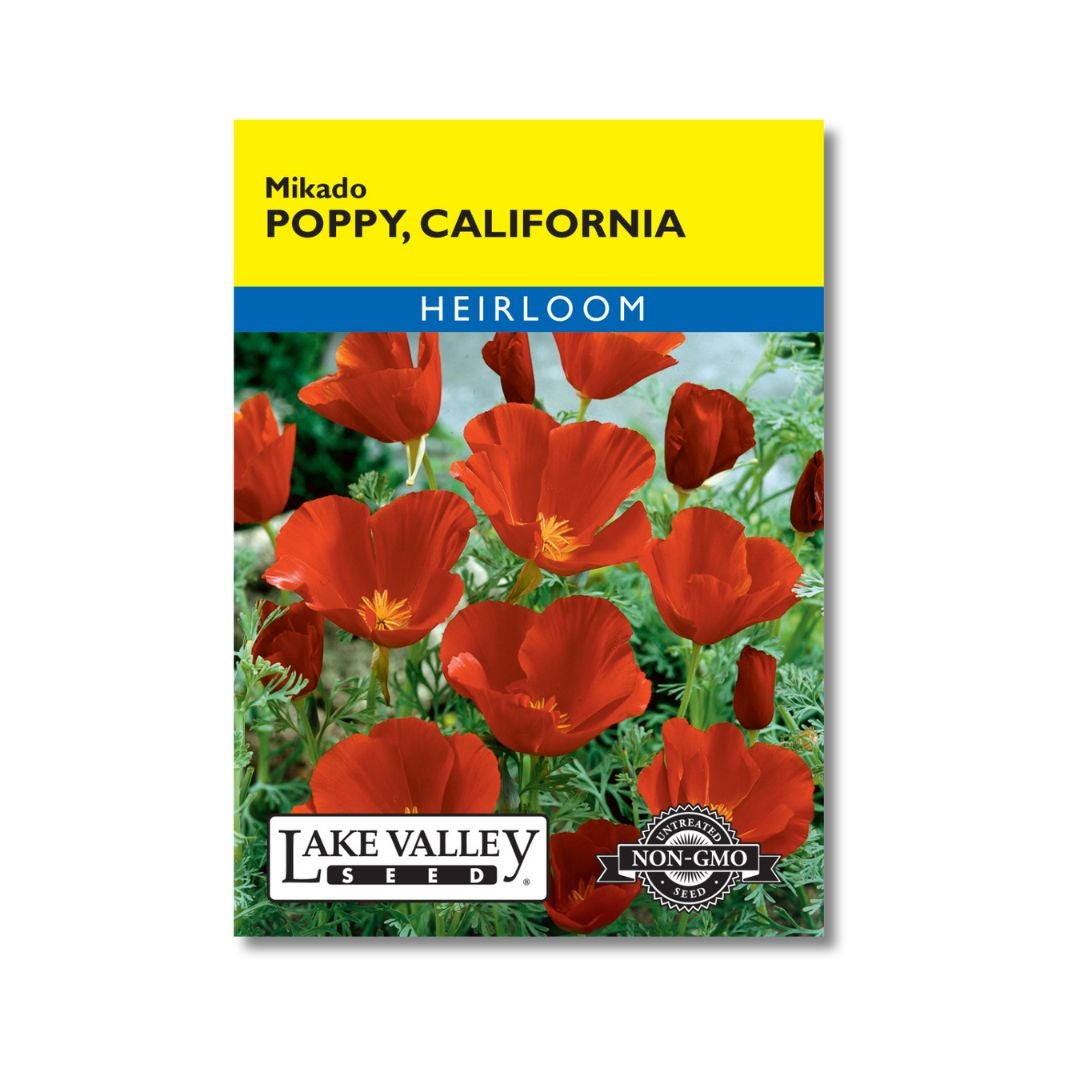 California Poppy 'Mikado' Heirloom Seeds | Willard Bay Gardens