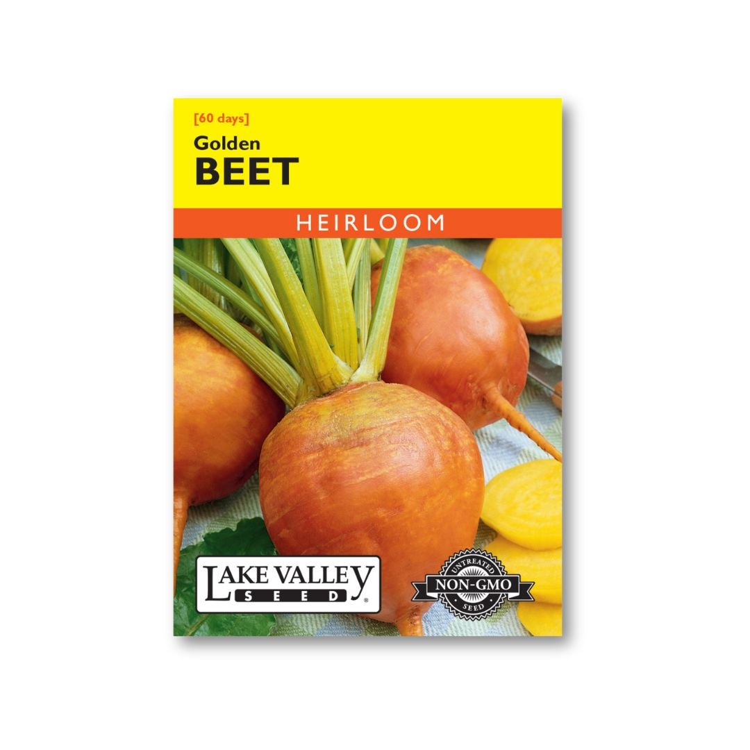 Heirloom Golden Beet Seeds | Willard Bay Gardens