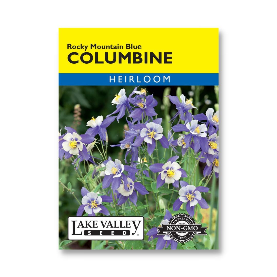 Columbine 'Rocky Mountain Blue' Heirloom Seeds | Willard Bay Gardens
