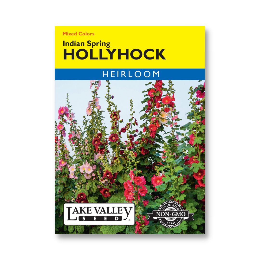 Hollyhock 'Indian Spring Mix' Seeds | Willard Bay Gardens