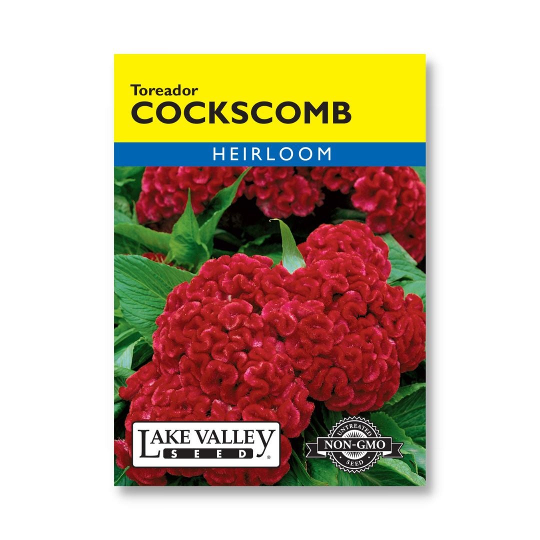 Coxcomb Seeds